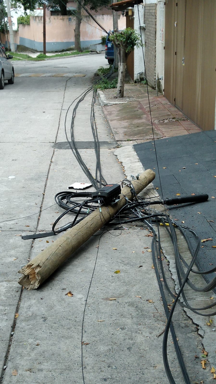 Colomos Providencia – Providencia